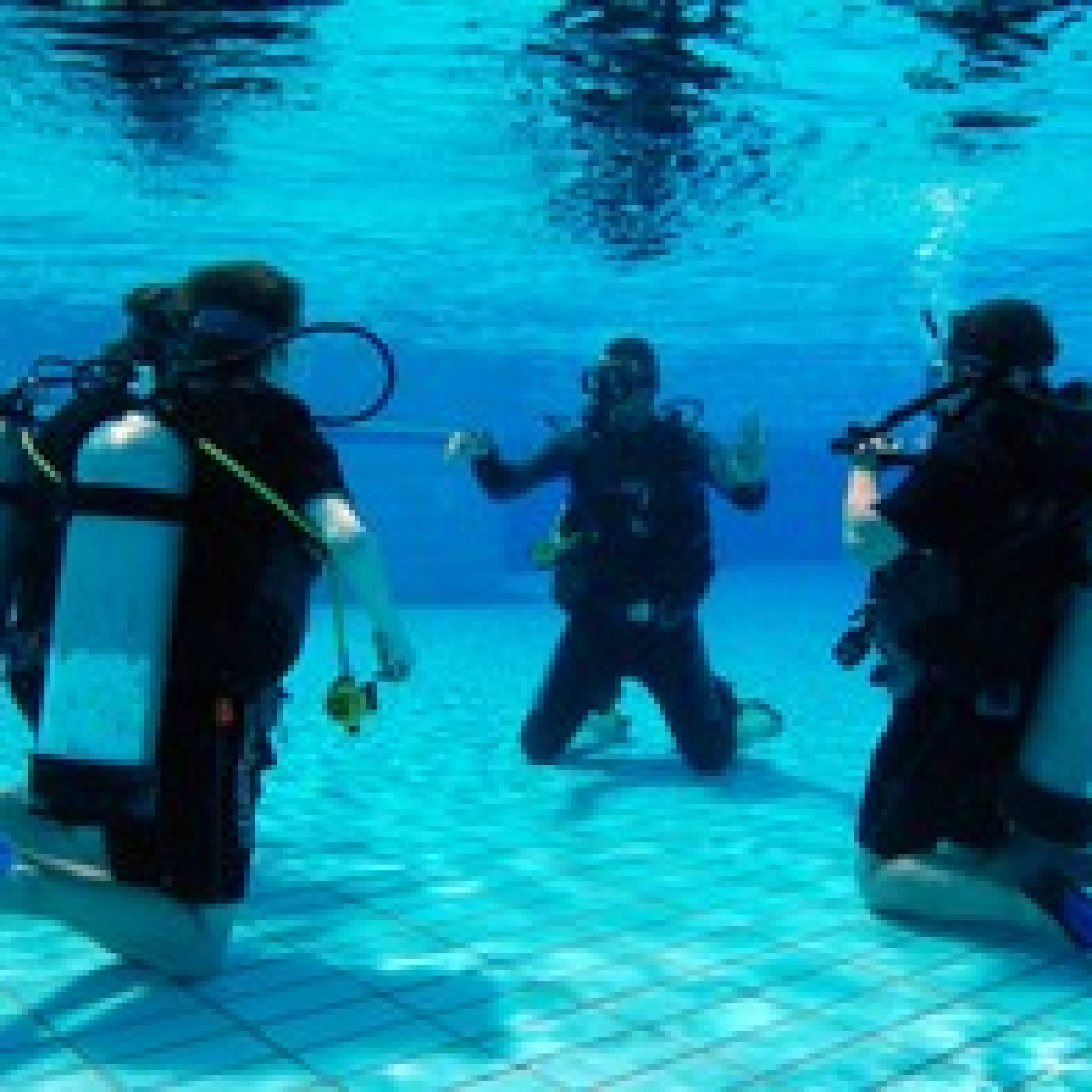 Home - Coral Diving Club