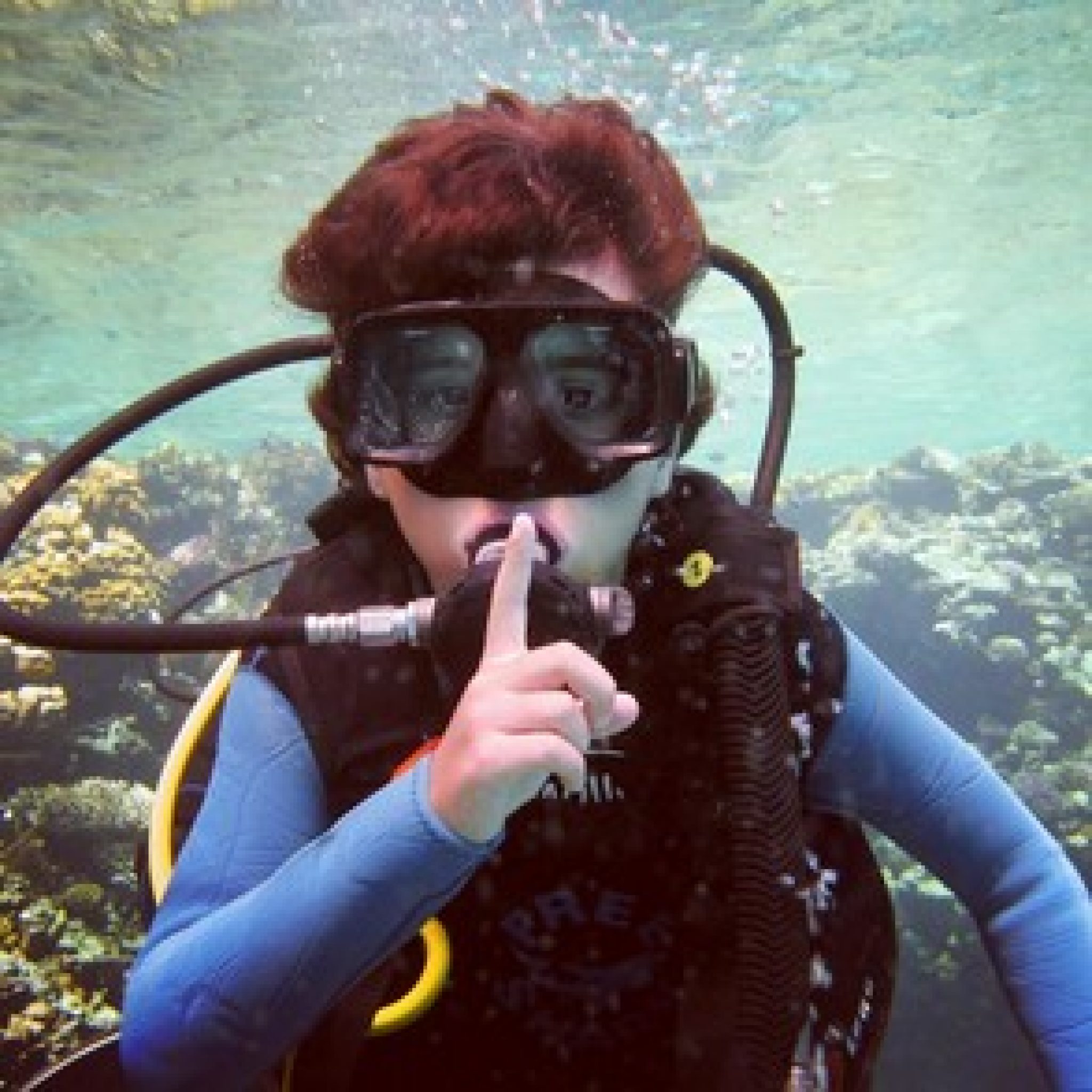 Home - Coral Diving Club