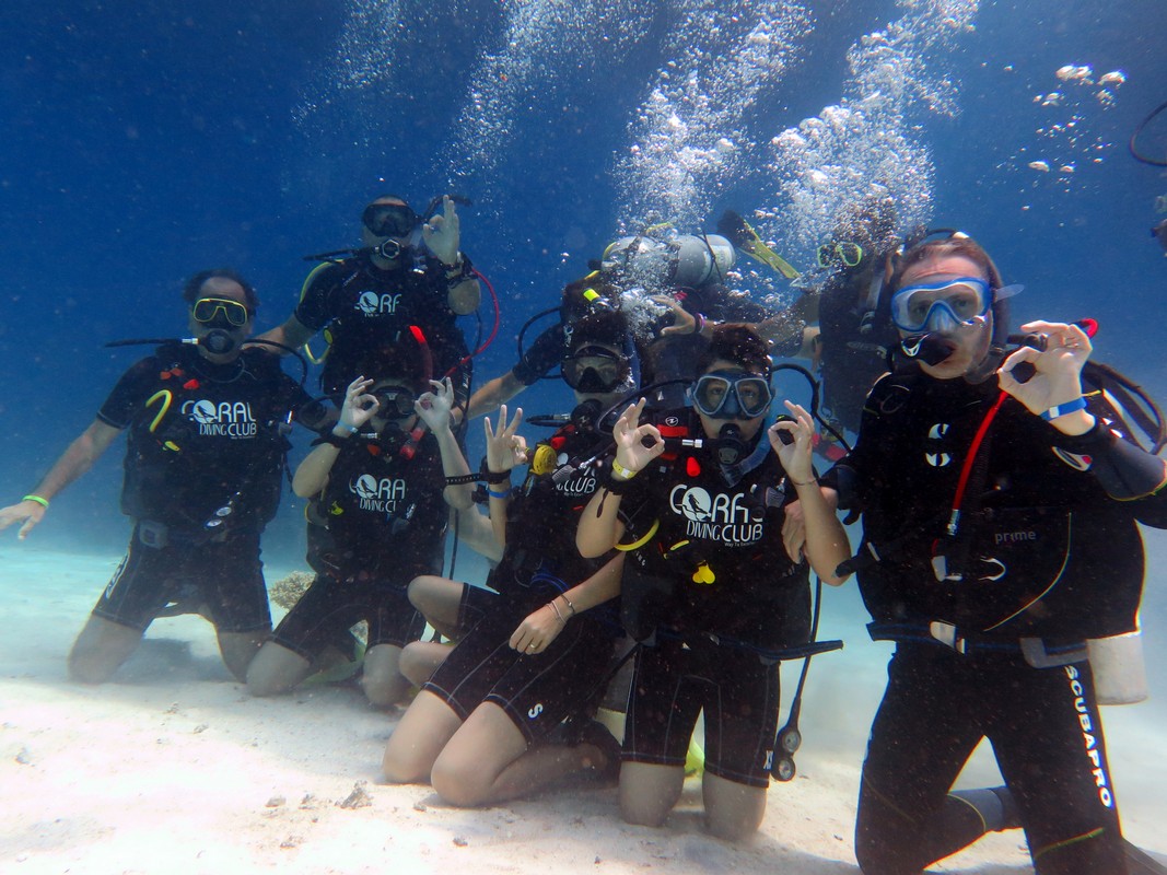 Home - Coral Diving Club