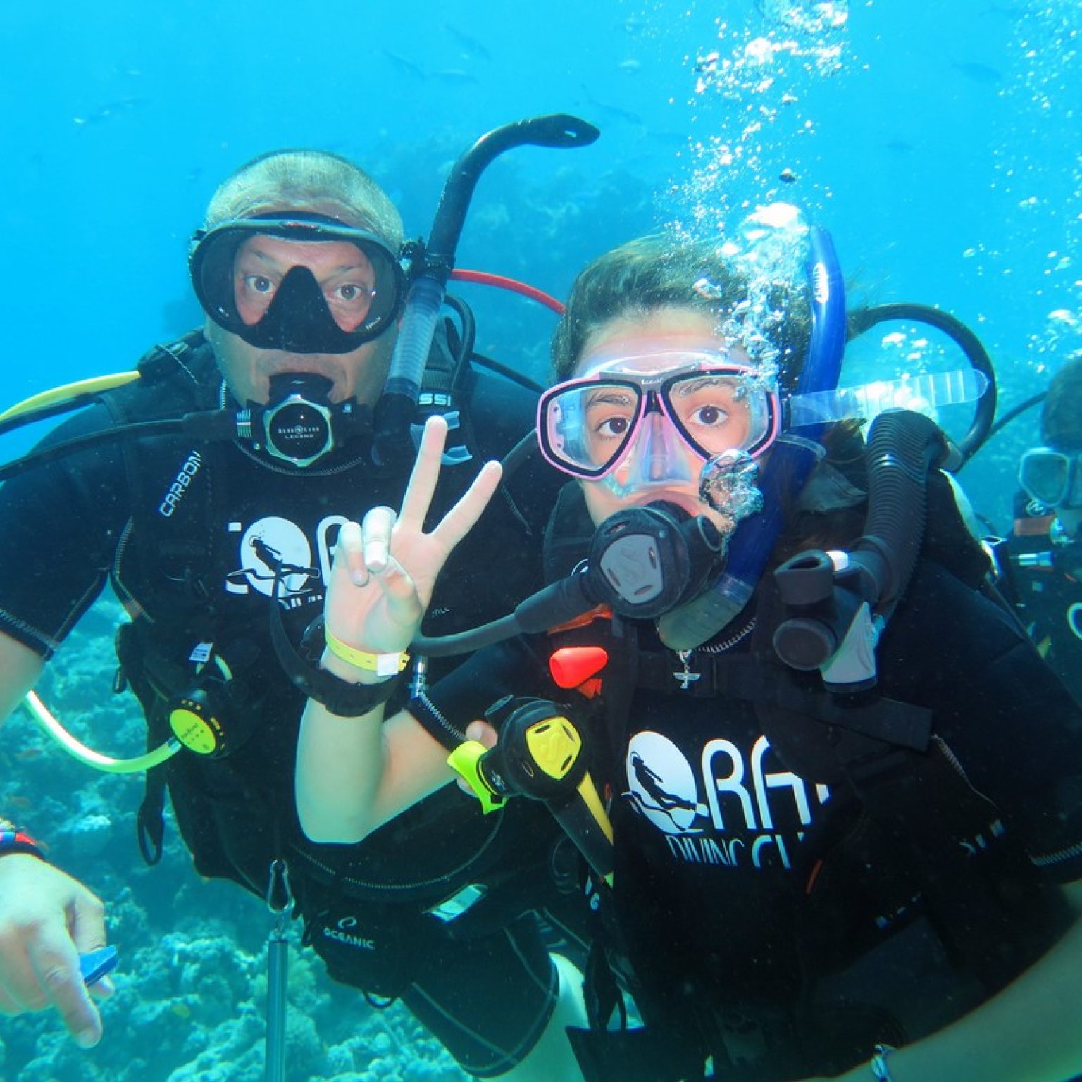 Home - Coral Diving Club