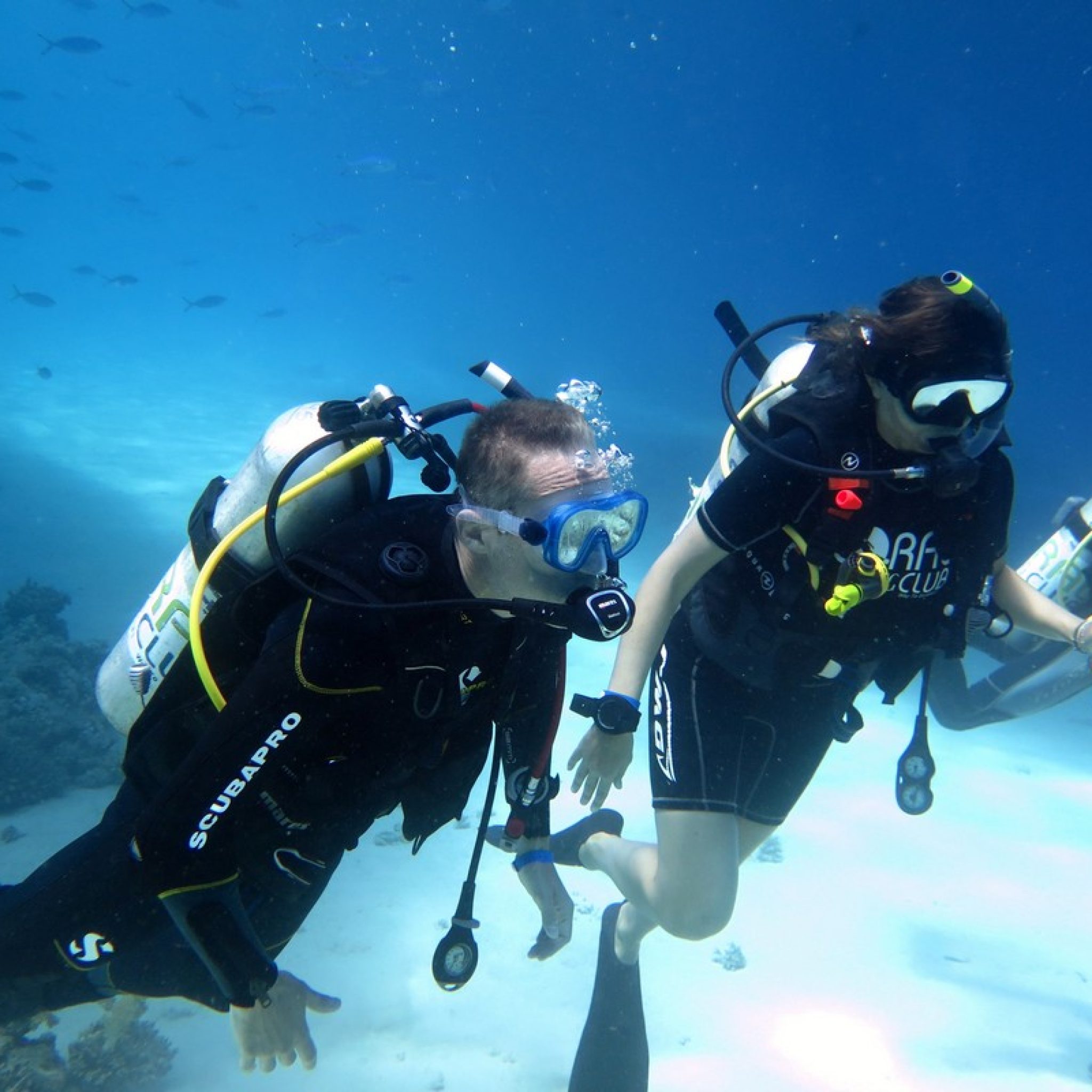 Home - Coral Diving Club