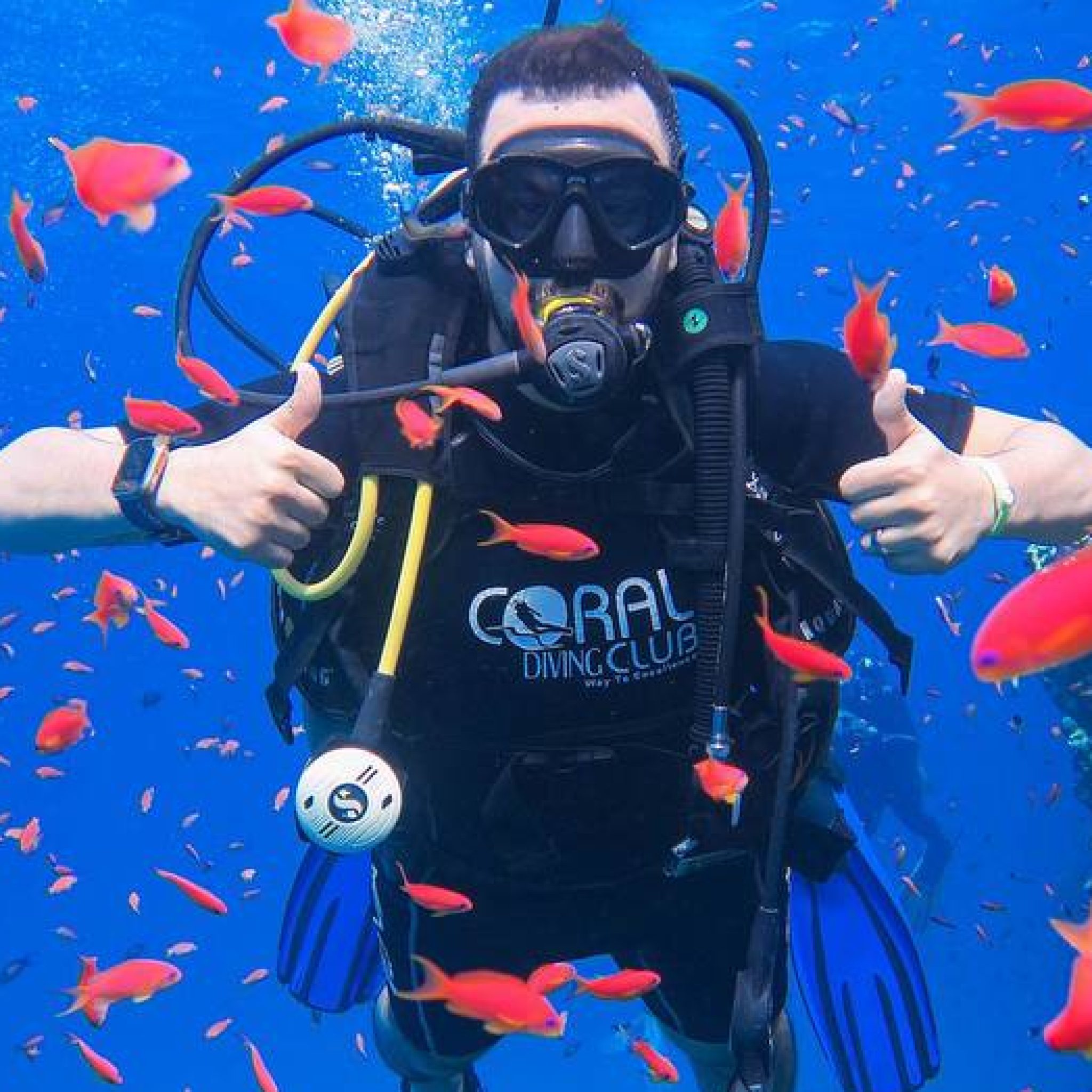 Home - Coral Diving Club