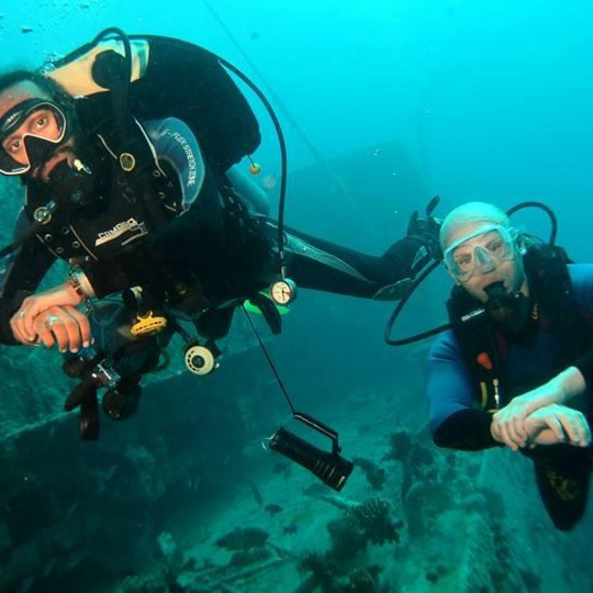 Home - Coral Diving Club