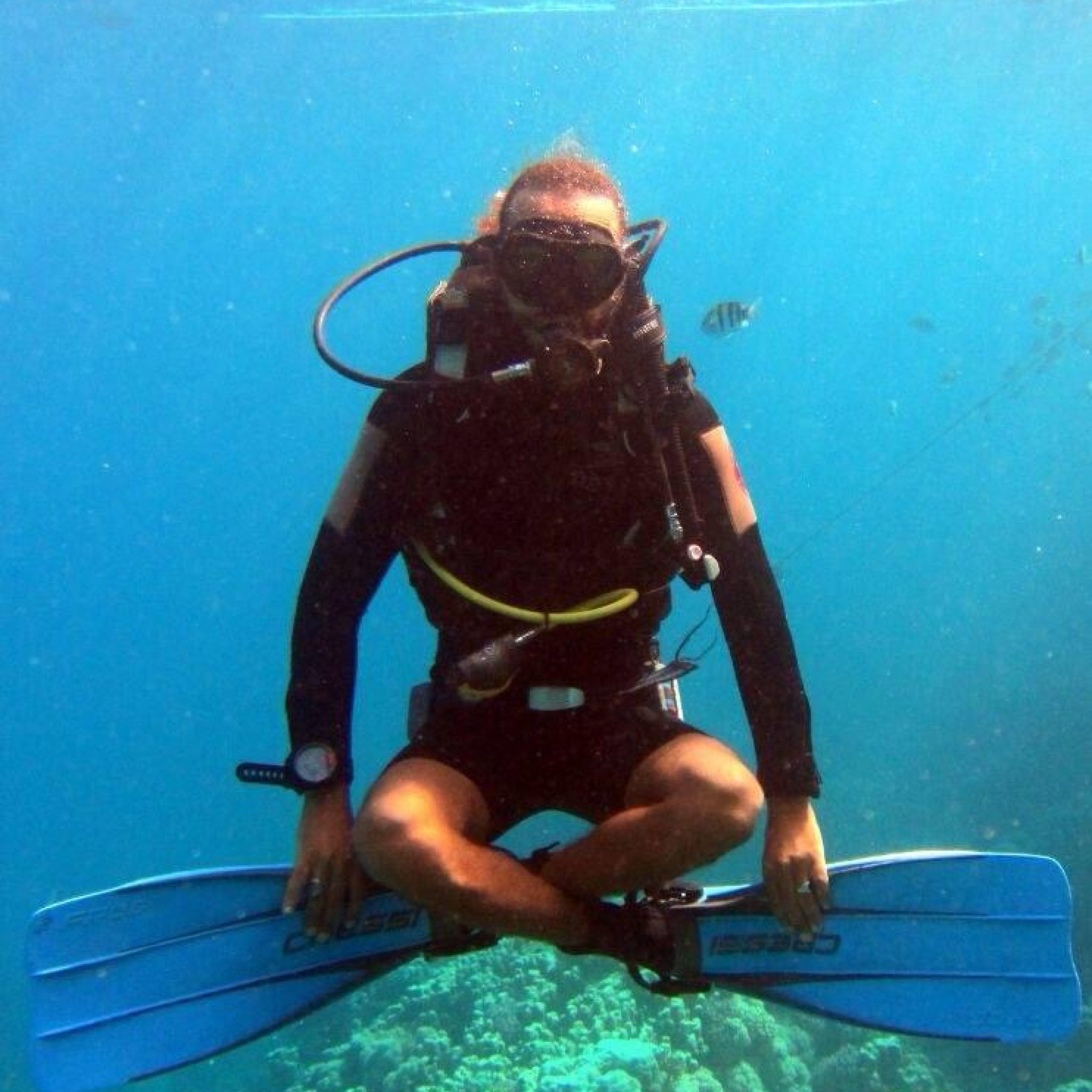 Home - Coral Diving Club