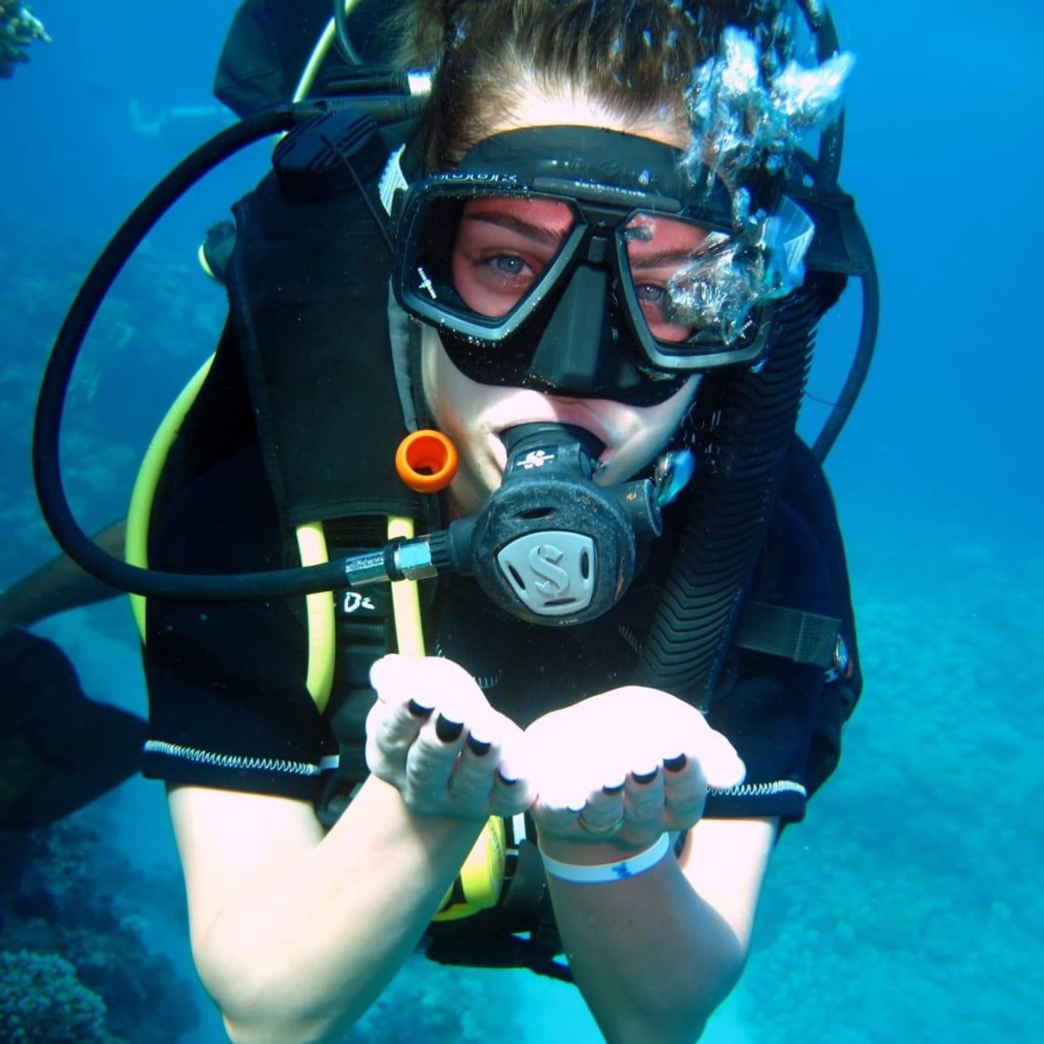 Home - Coral Diving Club