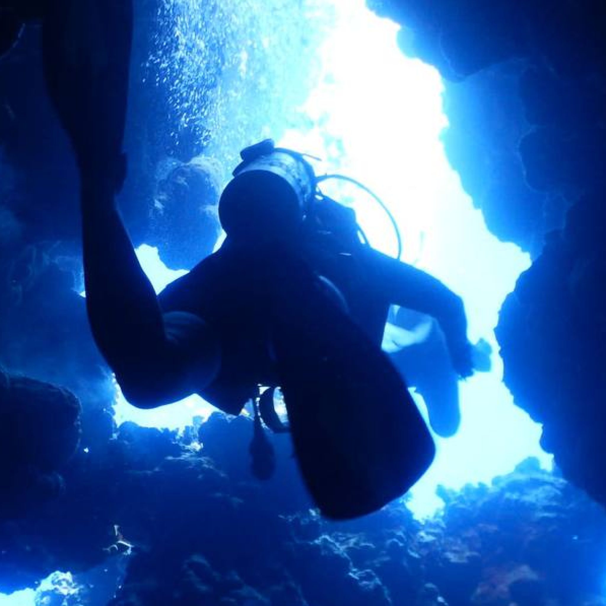 Home - Coral Diving Club