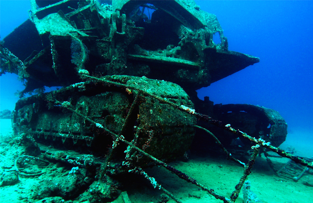 our site dive - Coral Diving Club